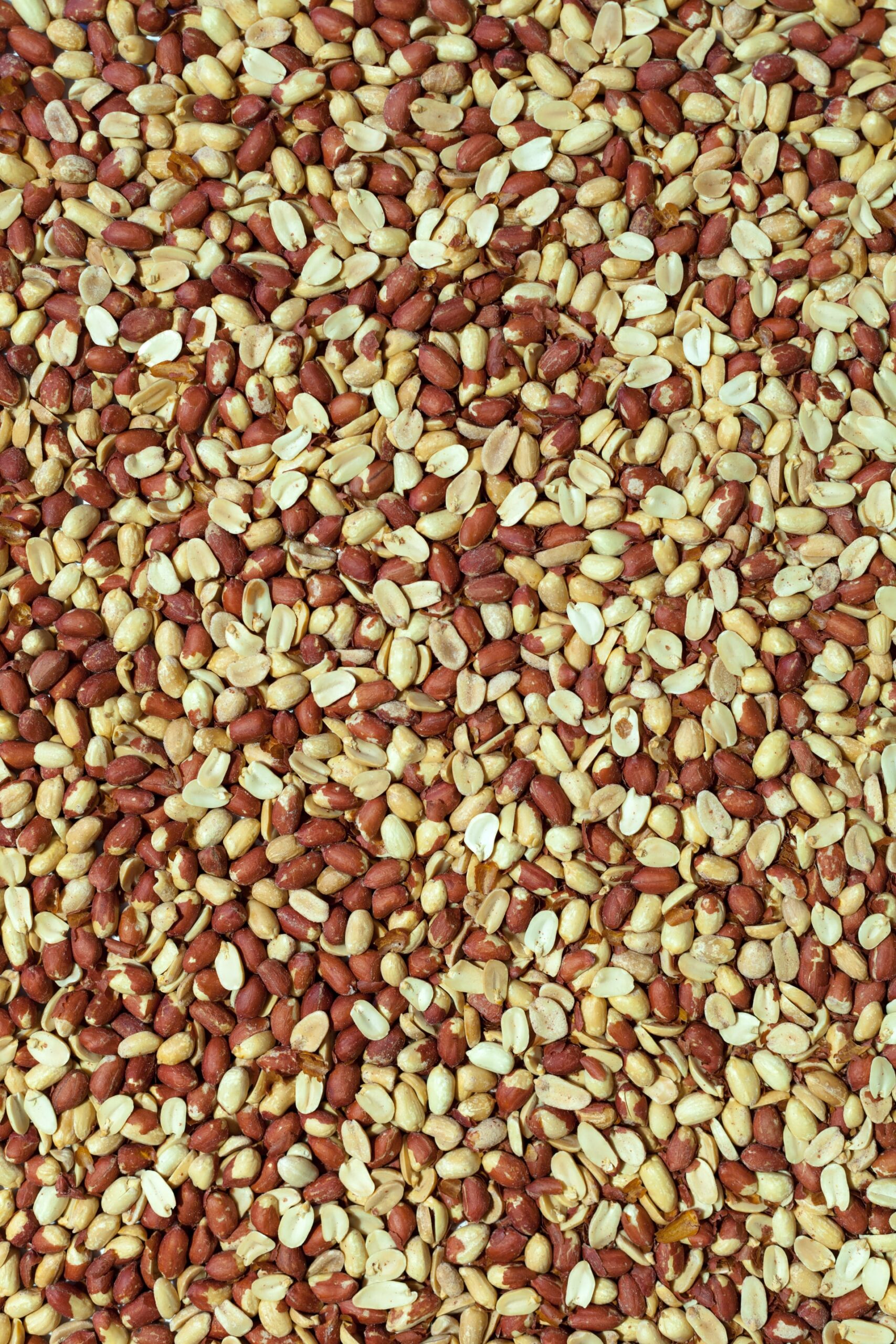 Start Eating Peanuts for 4 reasons - Be Renewed