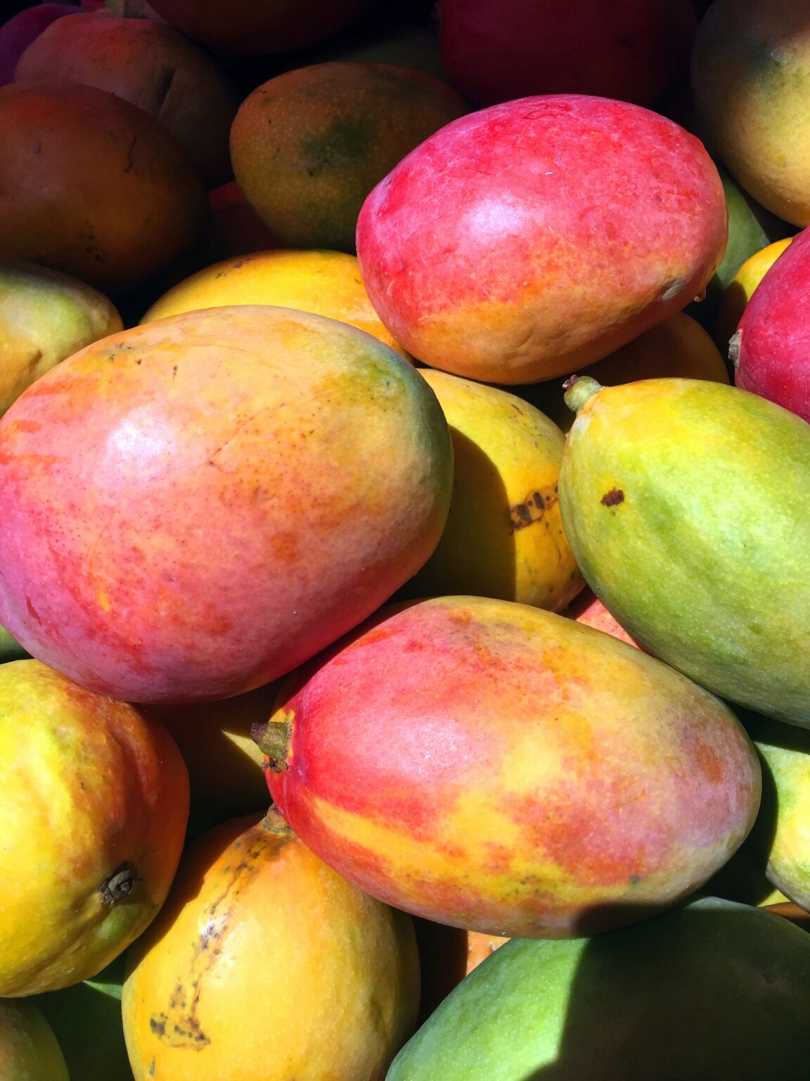 4 Reasons to Eat Mangos - Be Renewed